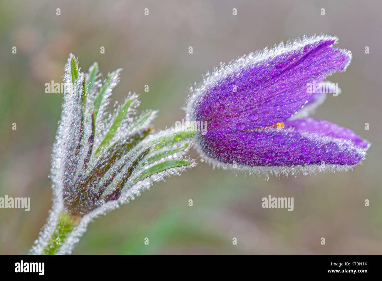 Bla tenstand hi-res stock photography and images - Alamy