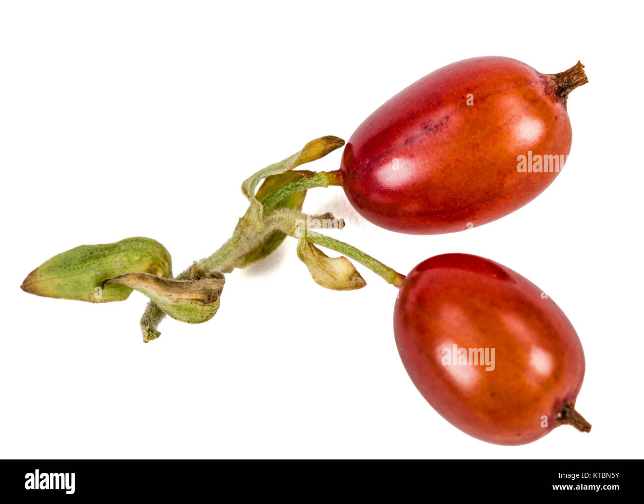 Currant berries isolated on white background Stock Photo - Alamy
