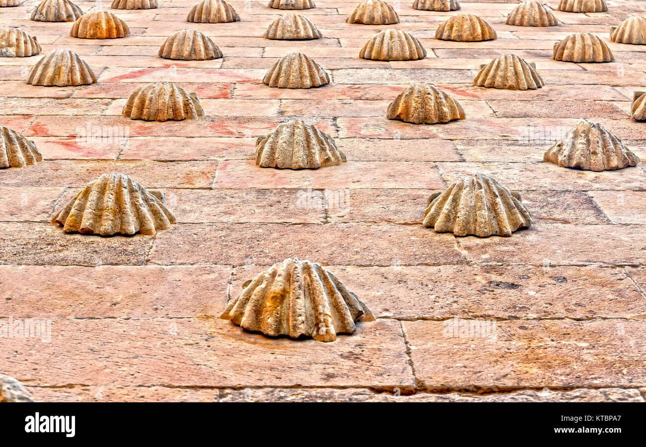 Casa de las Conchas. Salamanca. Ciudad Patrimonio de la Humanidad ...