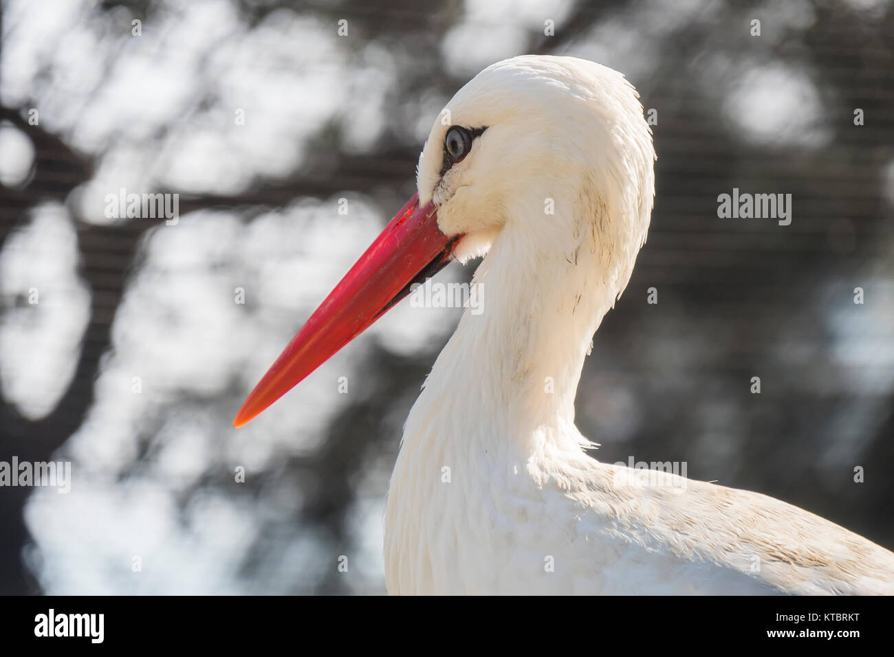 White stork figure hi-res stock photography and images - Alamy