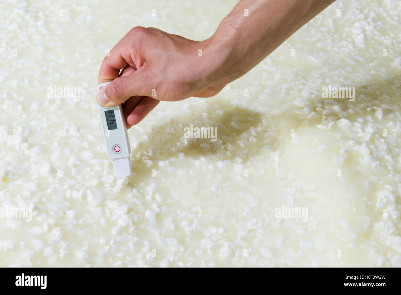 Cheesemaker measure temperature Stock Photo - Alamy