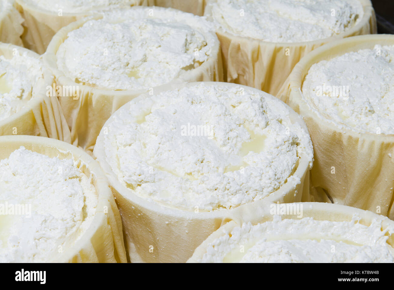 Cheese making process artisan cheesemaking hi-res stock photography and ...