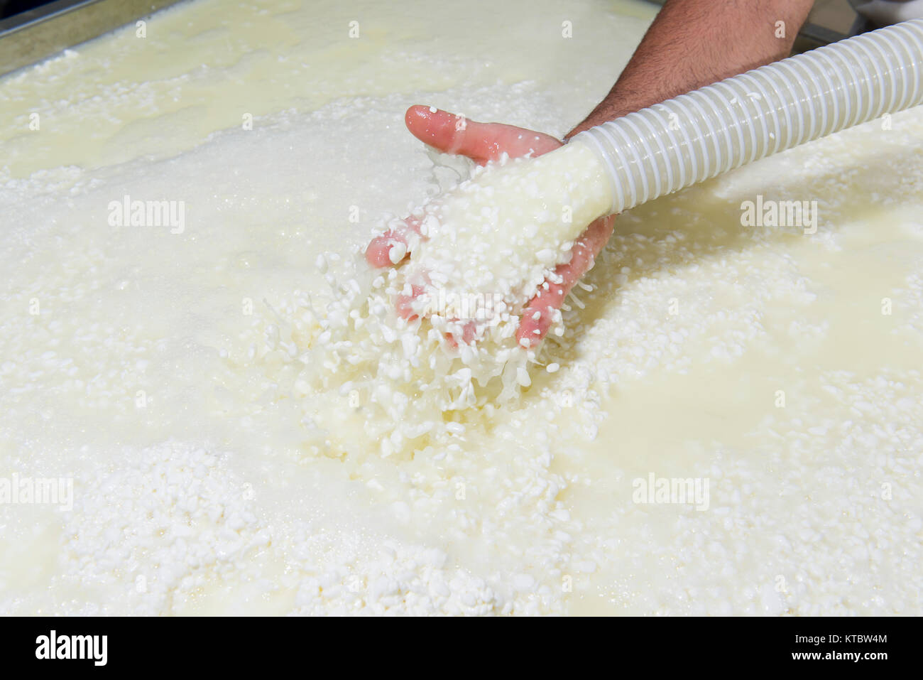 Cheesemaker pours cheese just curdled Stock Photo - Alamy