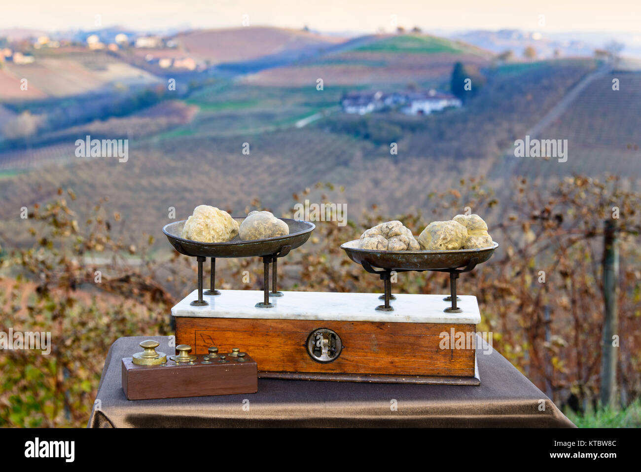 Some white truffles on the scales Stock Photo - Alamy