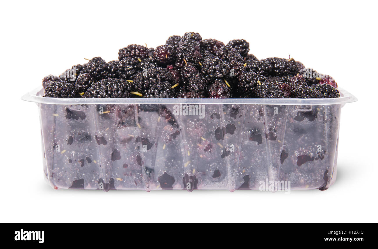 Mulberry in a plastic tray Stock Photo - Alamy
