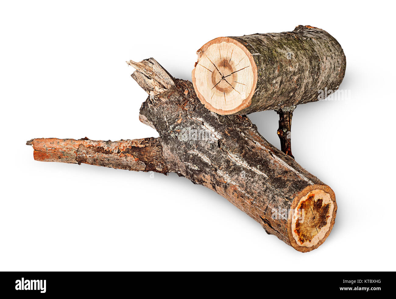 Two poplar logs rotated Stock Photo - Alamy