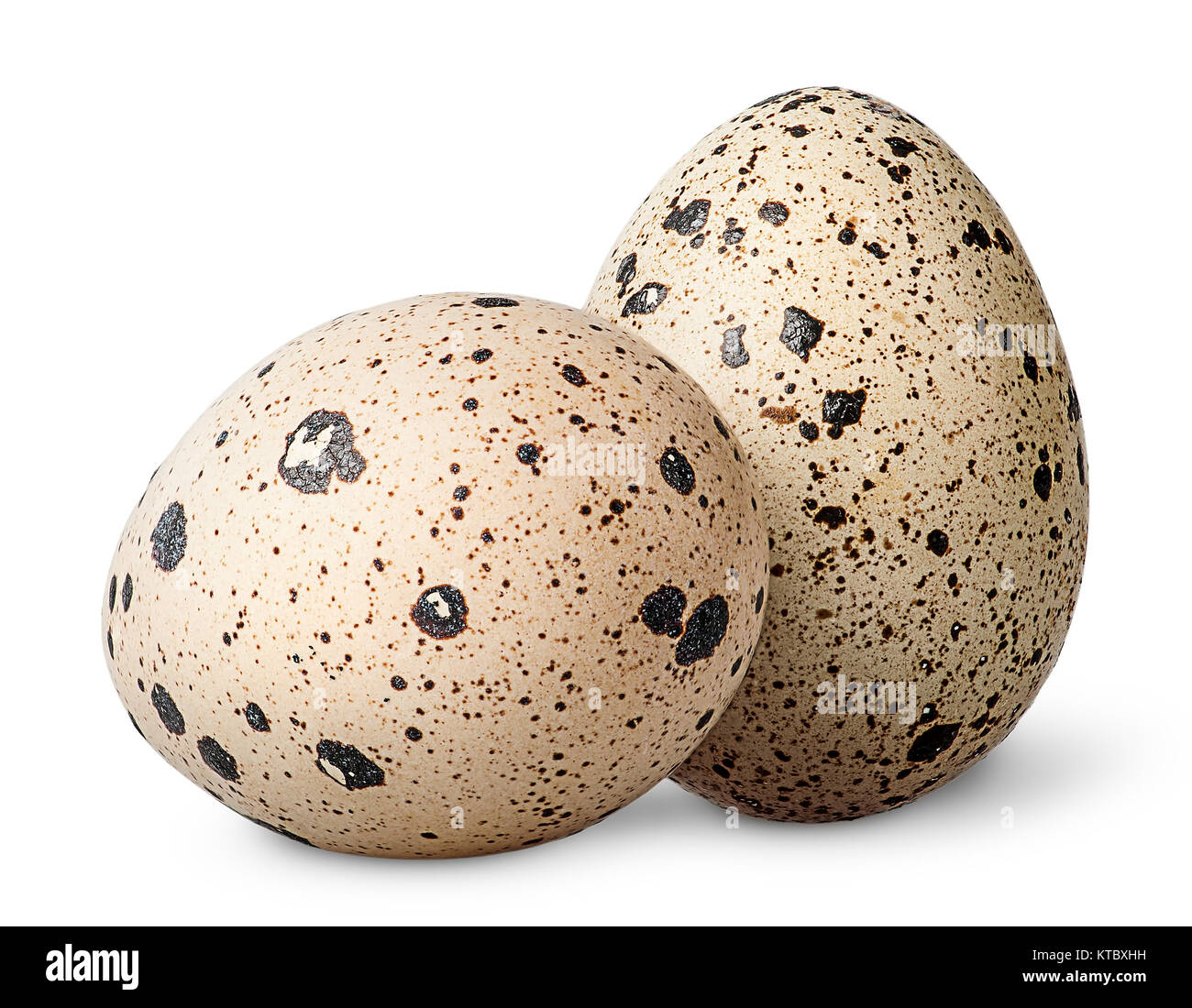 Two quail eggs beside Stock Photo - Alamy