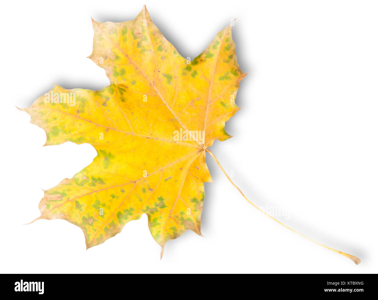 Colour spots hi-res stock photography and images - Alamy
