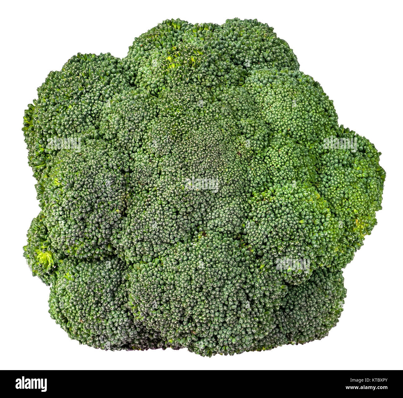 Large inflorescences of fresh broccoli top view Stock Photo - Alamy