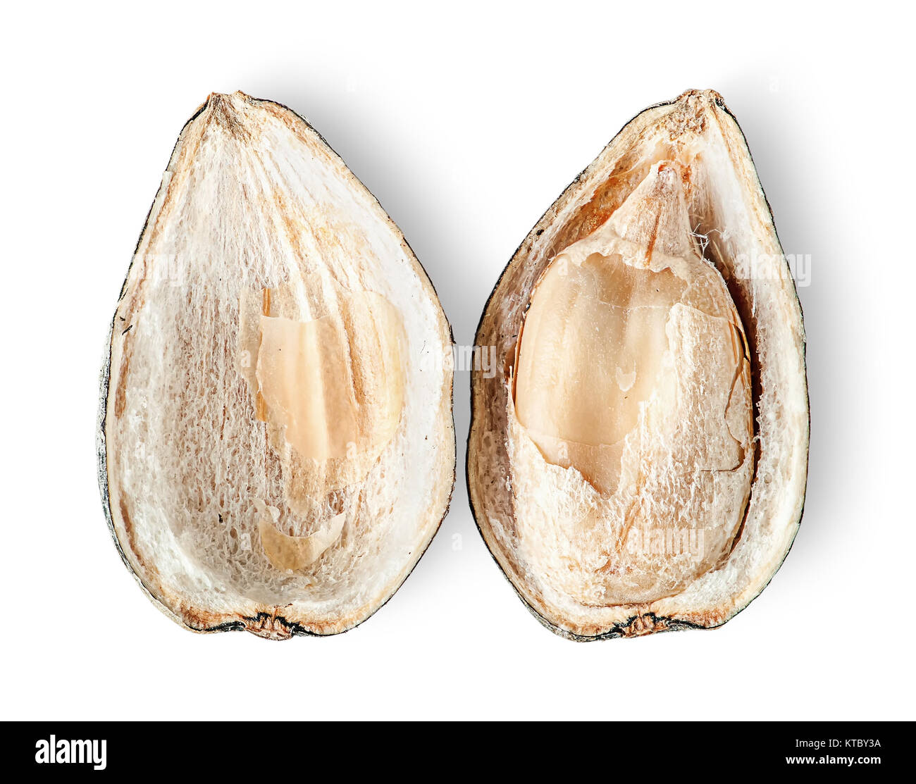 Open sunflower seed Stock Photo - Alamy