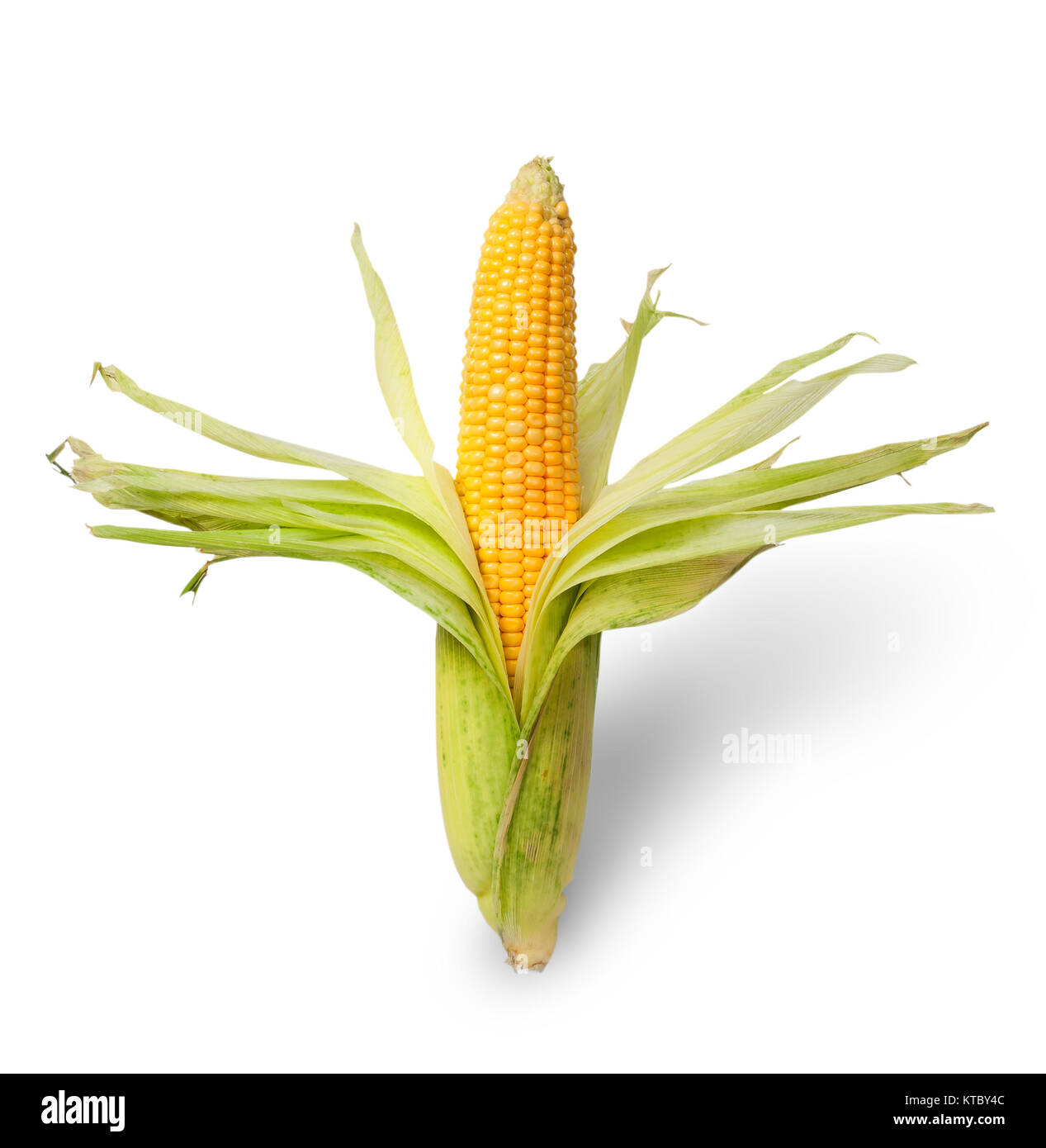 Partially yellow Cut Out Stock Images & Pictures - Alamy