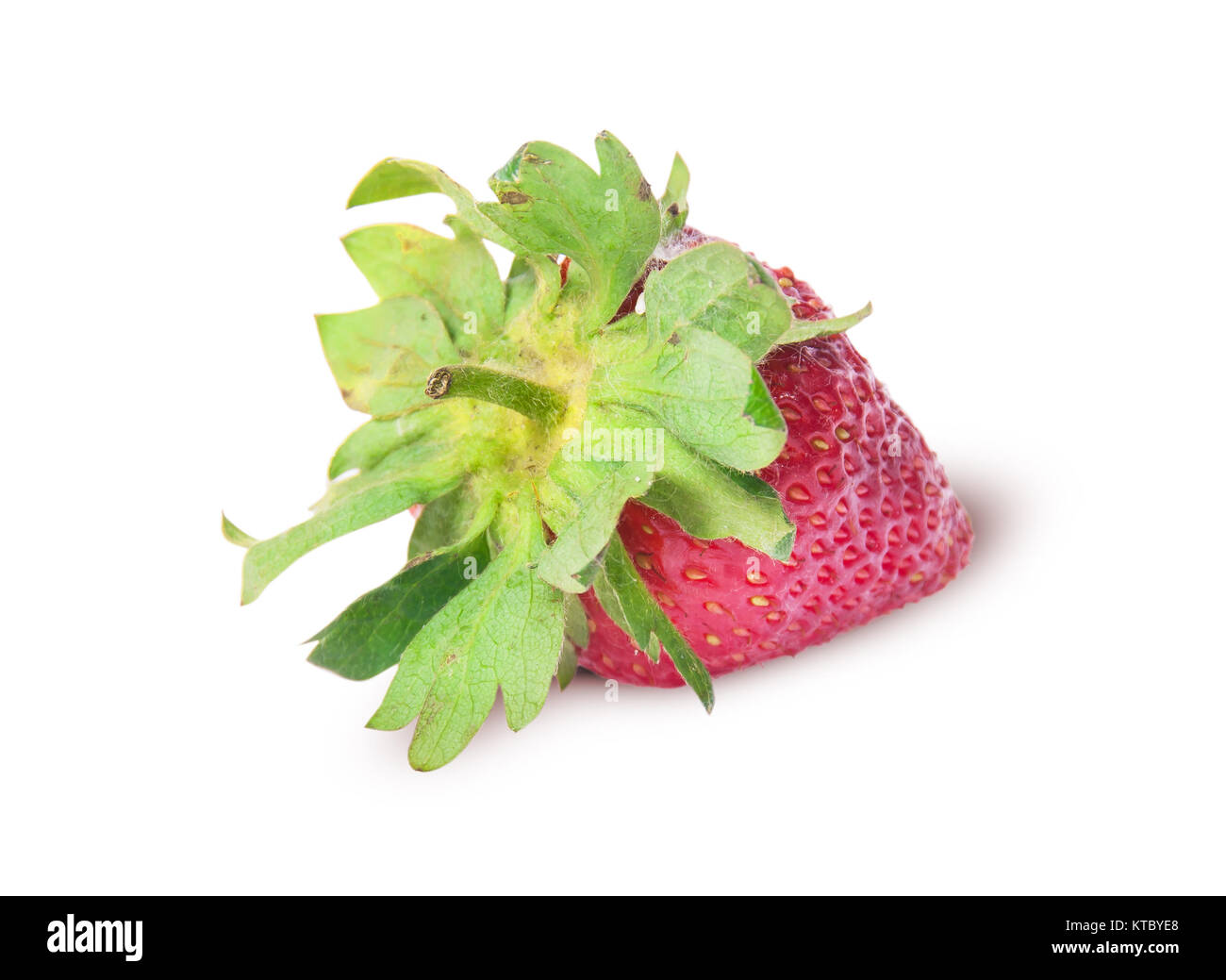Single freshly strawberries backwards Stock Photo - Alamy
