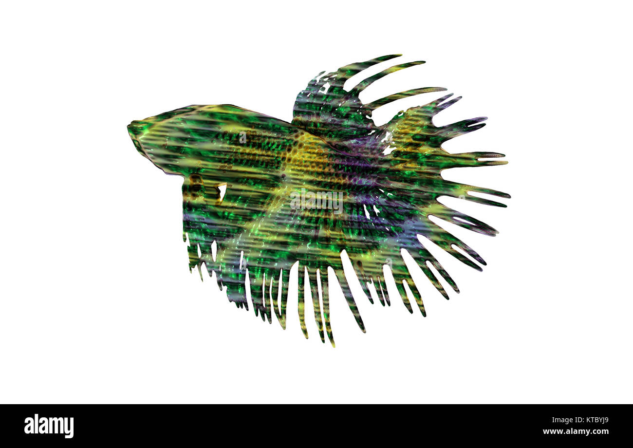 dental fish released Stock Photo - Alamy