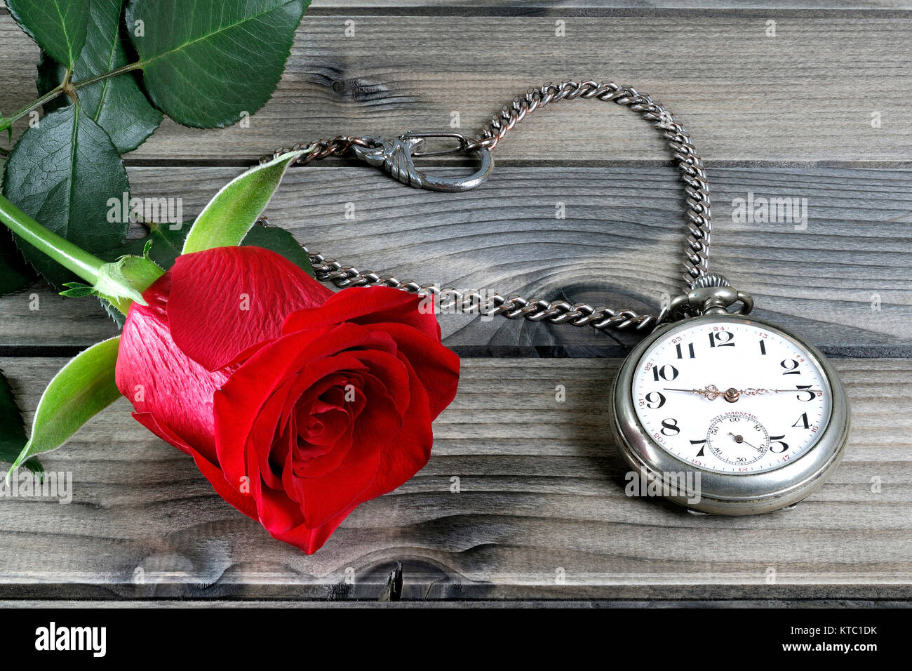 Picture of an elegant pocket watch and a red rose, photographed on an ...
