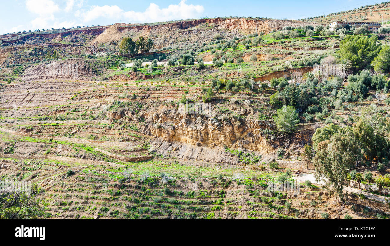 terraced gardens on hill in Jordan in winter Stock Photo - Alamy