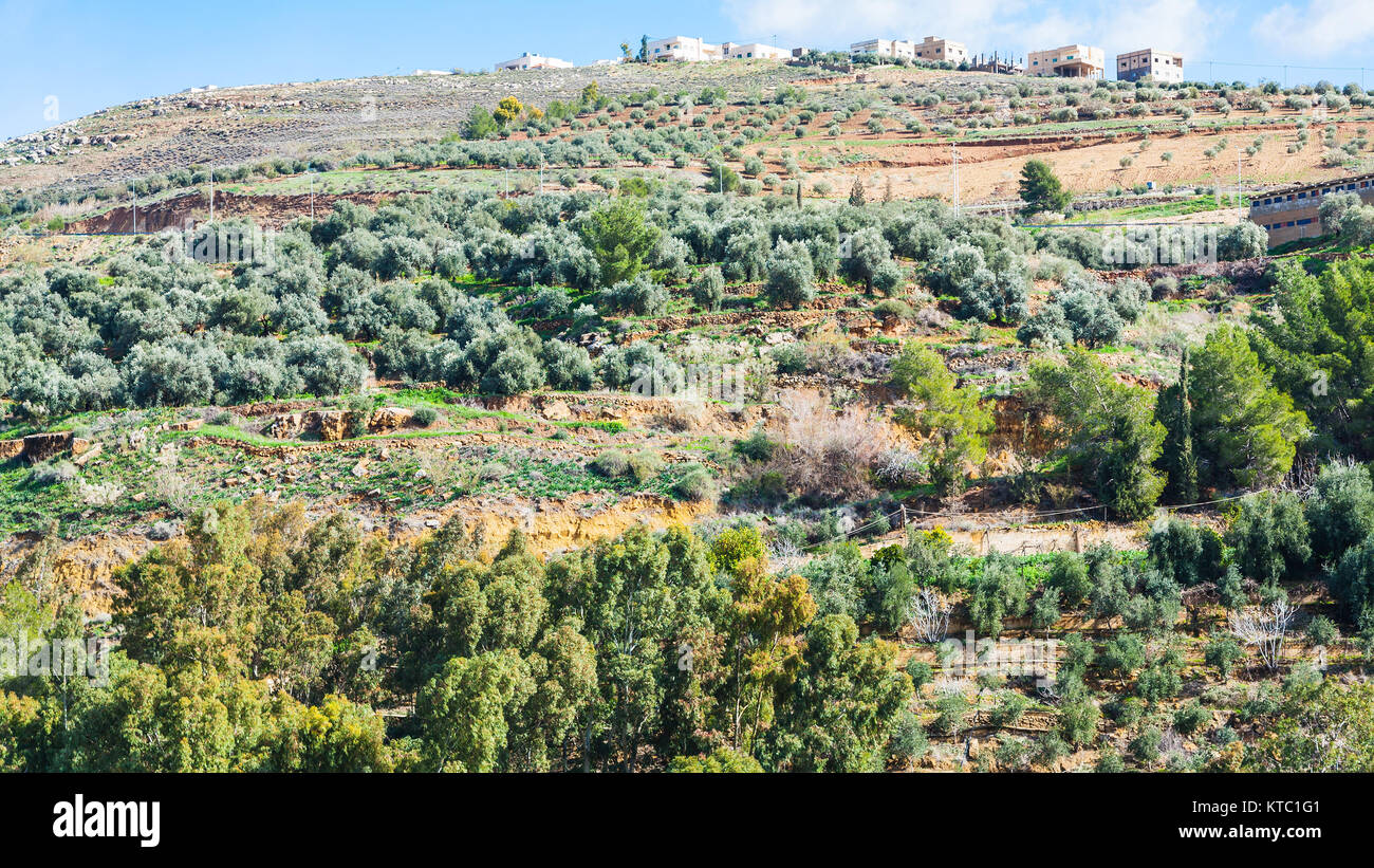 village and terraced gardens on hill in Jordan Stock Photo - Alamy