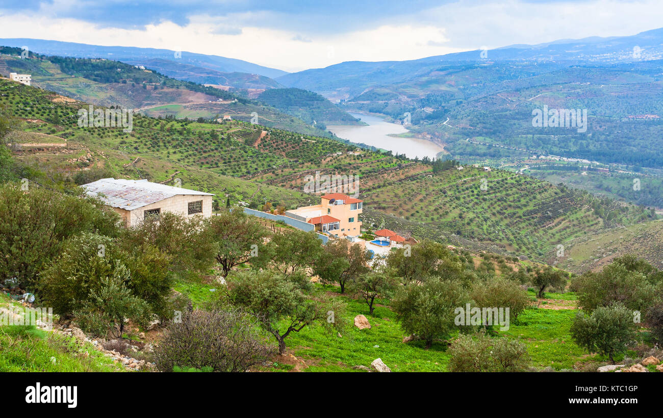 terraced fields in valley Zarga River in Jordan Stock Photo - Alamy