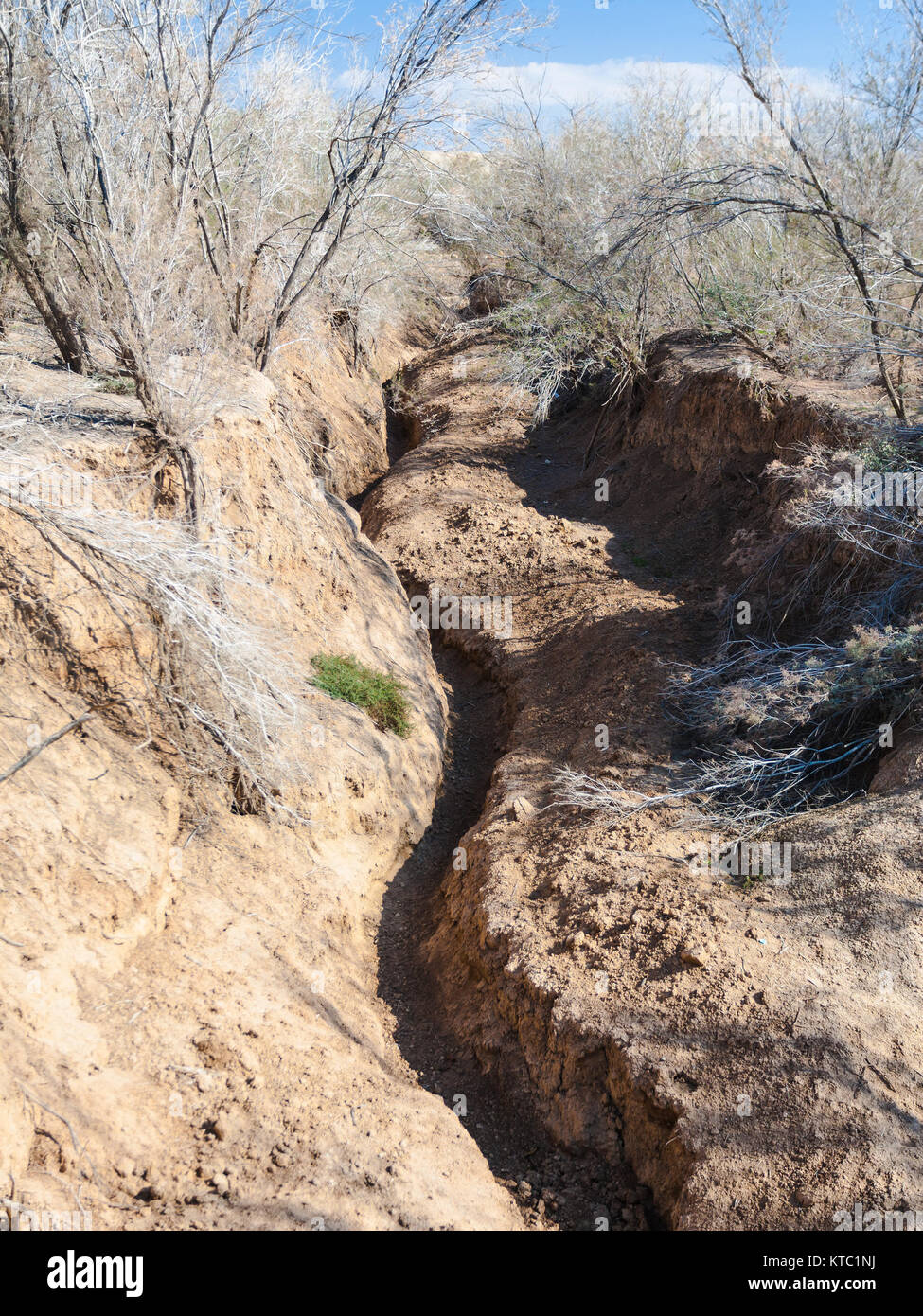 dried Jorda riverbed in area of Wadi Al Kharrar Stock Photo - Alamy