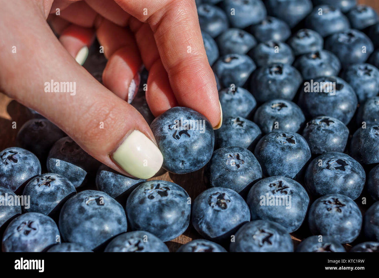 female hand picking one blueberry Stock Photo - Alamy