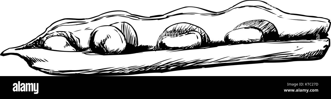 A single shell Black and White Stock Photos & Images - Alamy