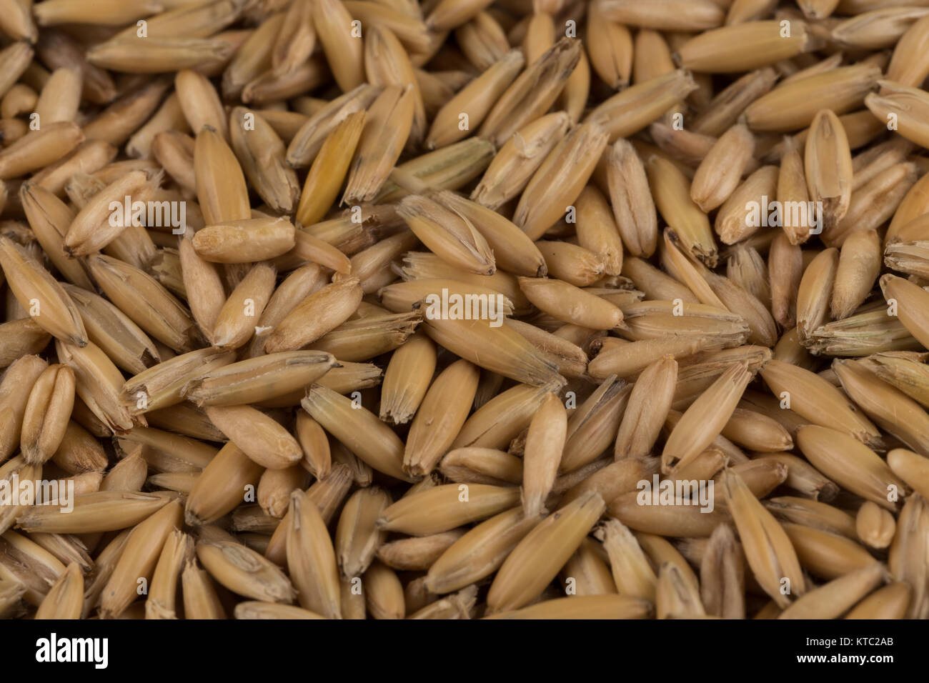 natural oat grains background, closeup Stock Photo - Alamy