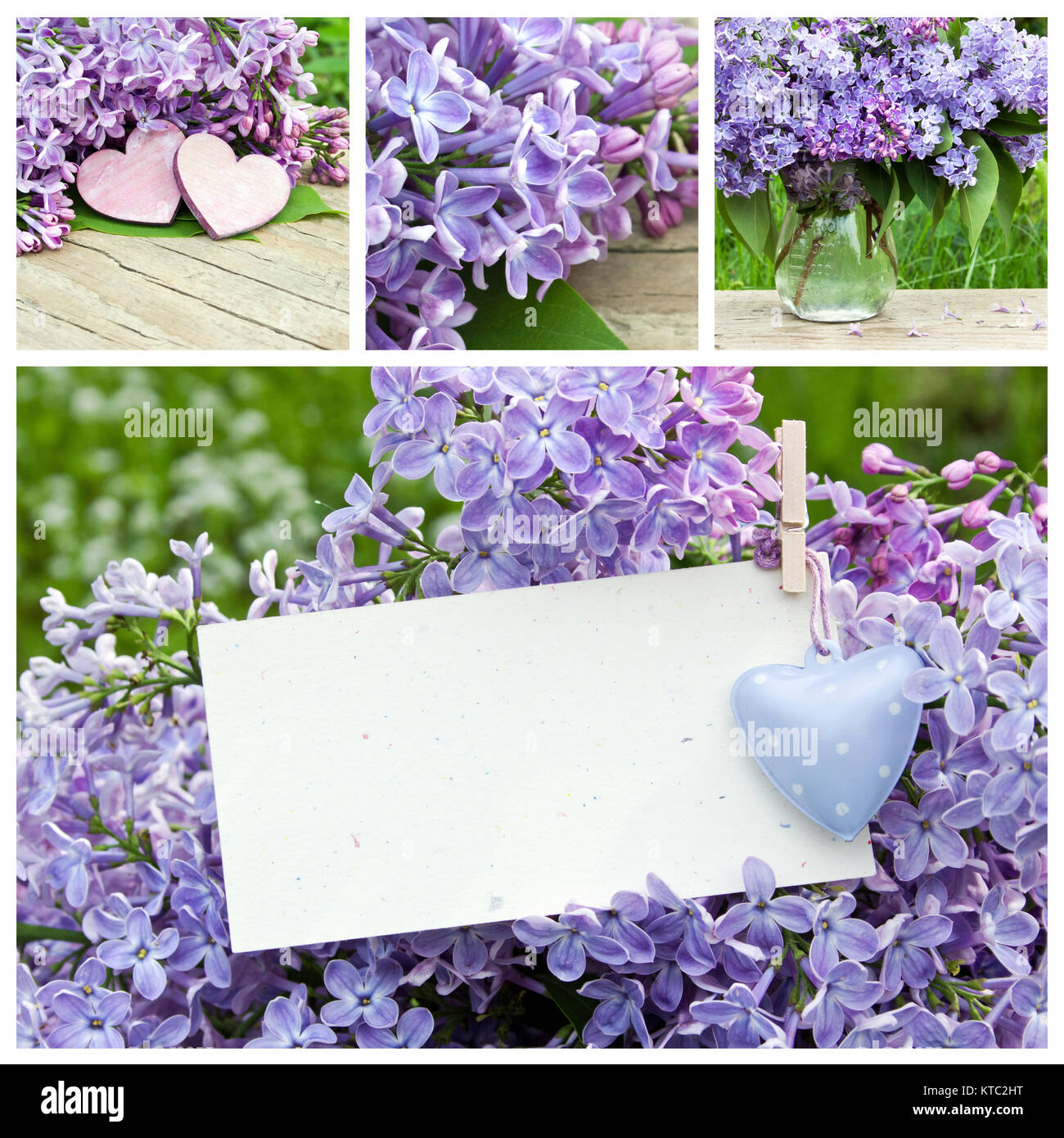 Collage with violet lilac and heart Stock Photo - Alamy