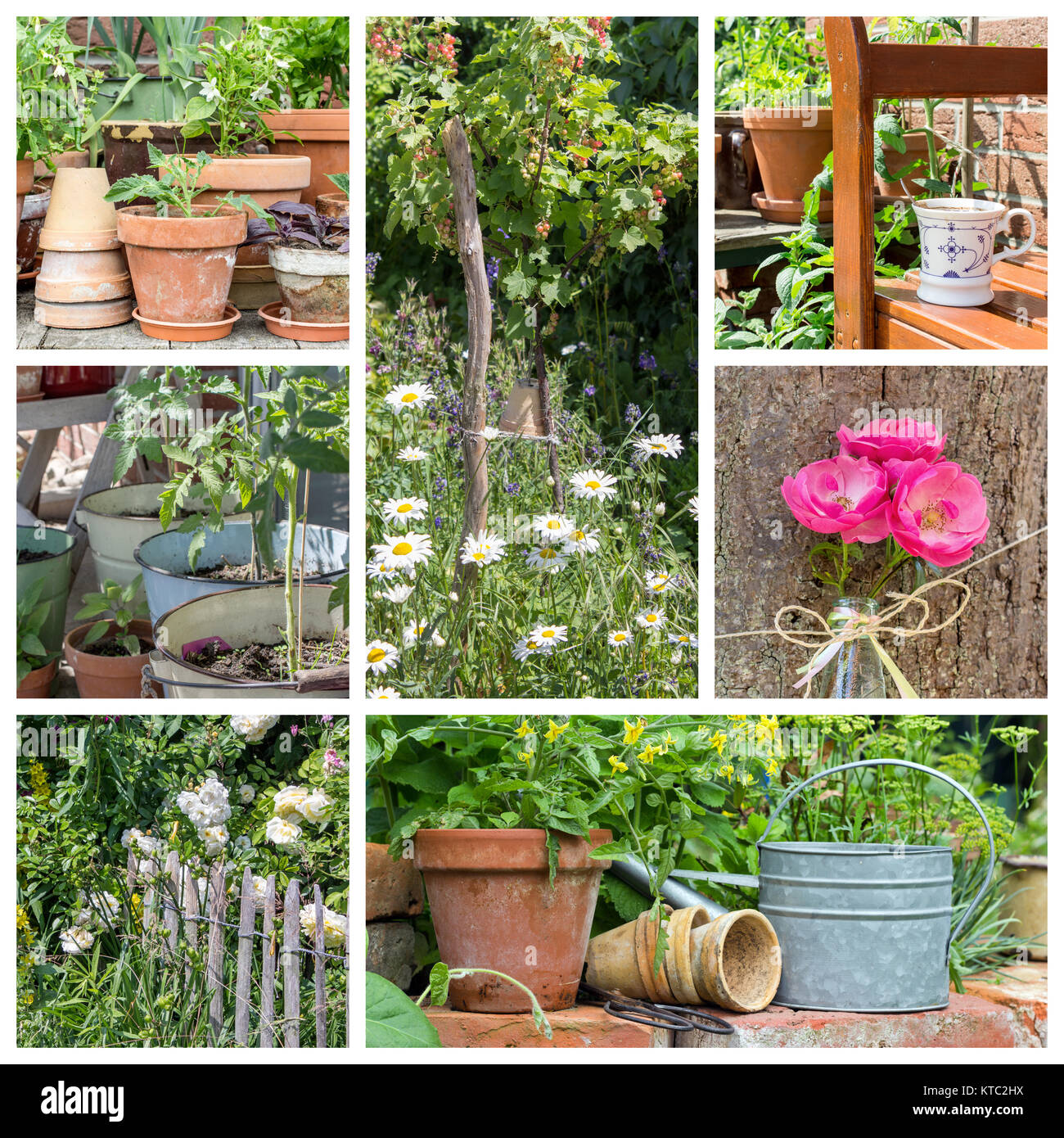 Collage with motifs of a near-natural garden Stock Photo - Alamy