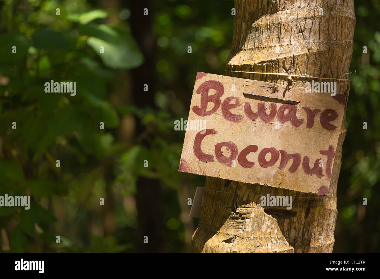 Announcement with Beware coconut Stock Photo - Alamy