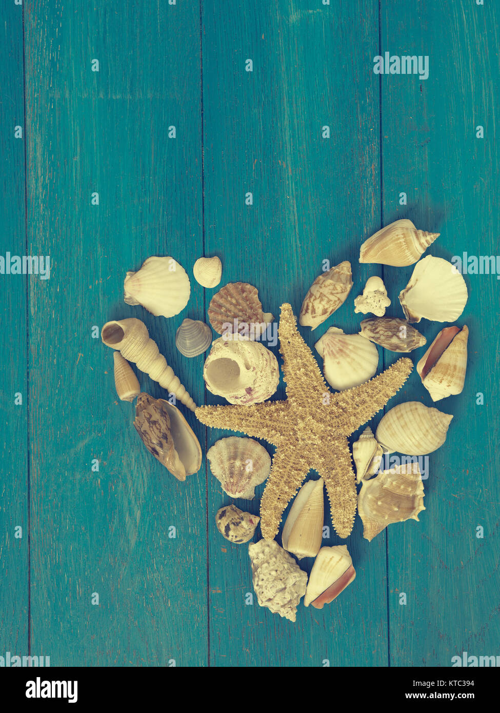 Heart shape of shells and a starfish on a blue vintage wooden ...