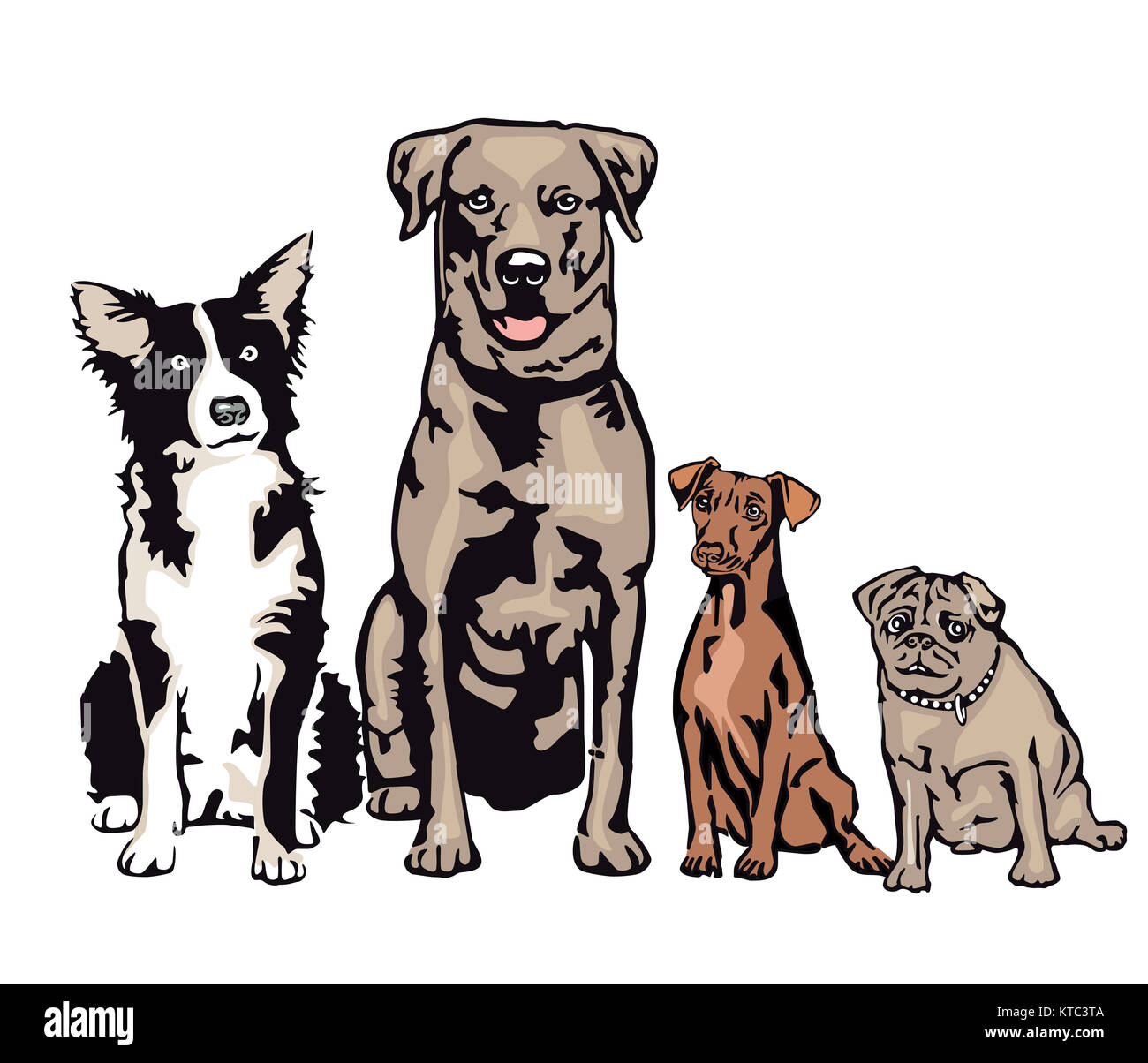 four dogs wait in a row Stock Photo - Alamy