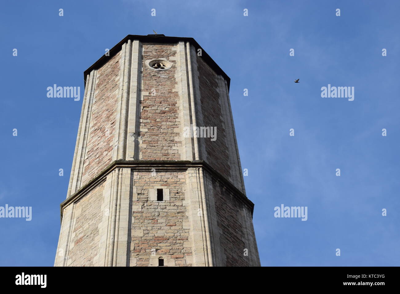 octagonal dorm tower in brunswick Stock Photo - Alamy