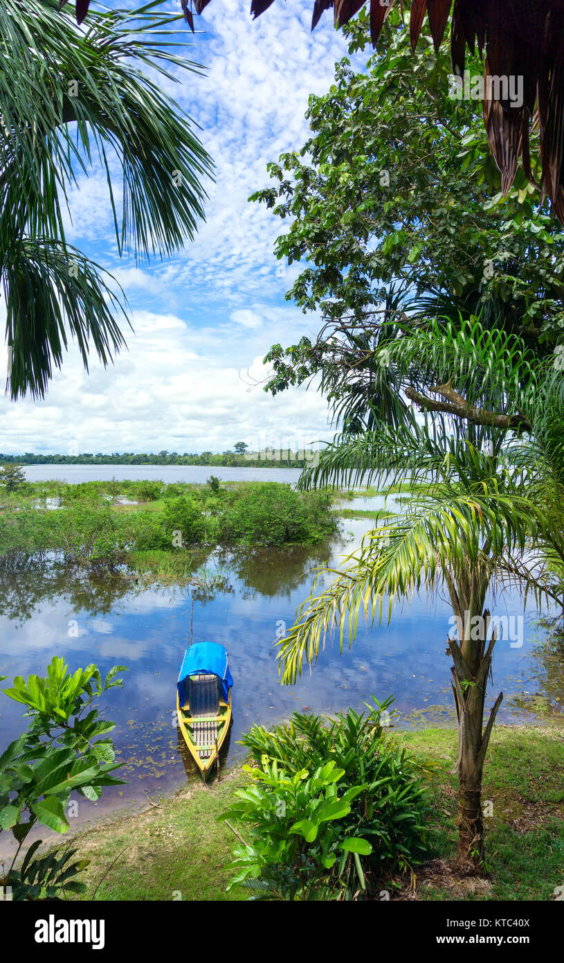 Canoe in Amazon Rainforest Stock Photo - Alamy