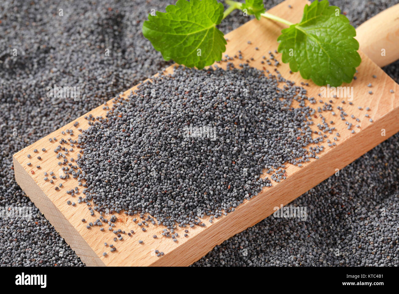 Whole black poppy seeds Stock Photo - Alamy