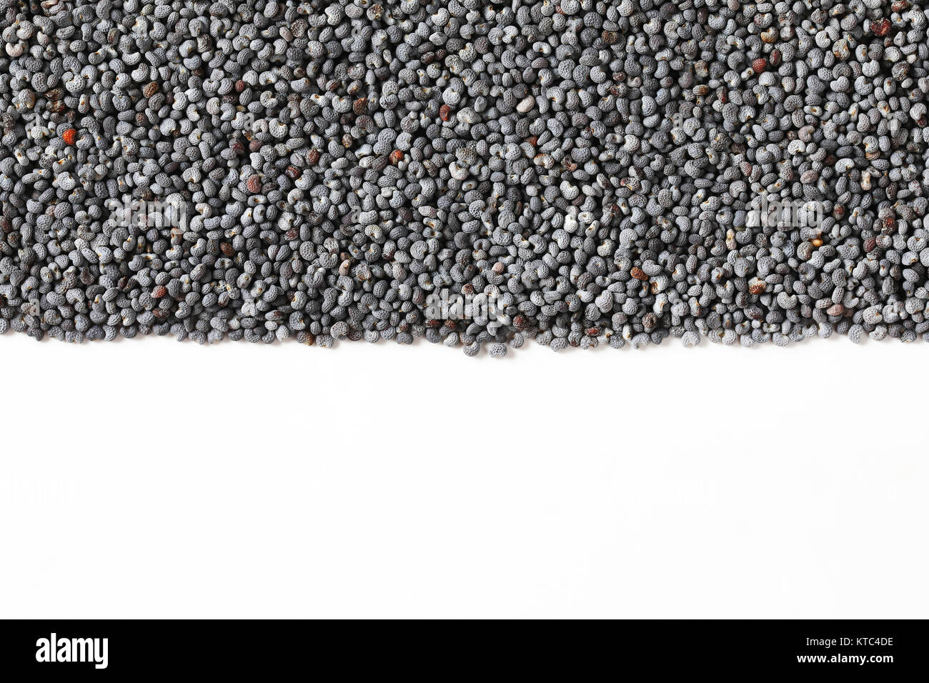 Whole black poppy seeds Stock Photo - Alamy