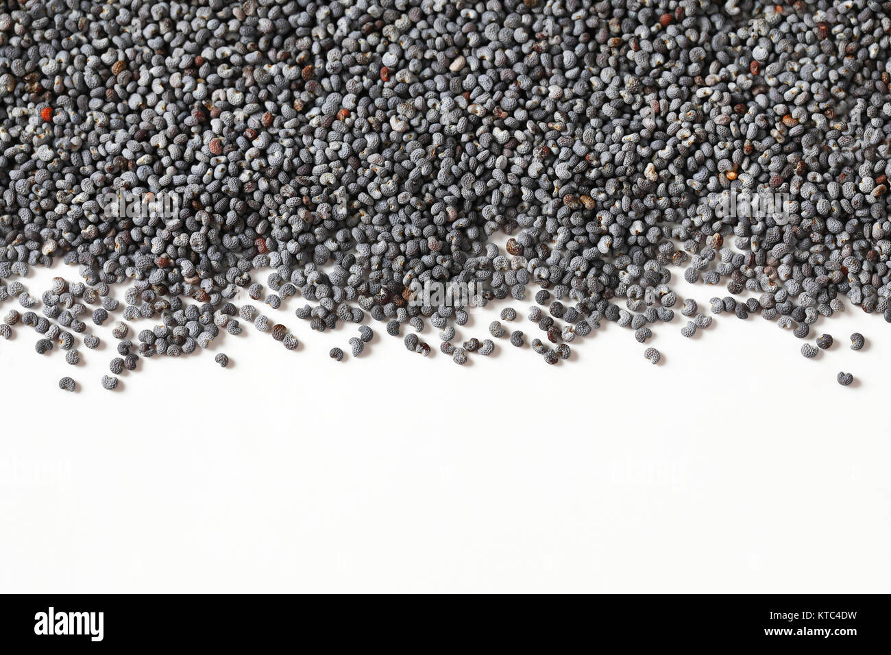 Whole black poppy seeds Stock Photo - Alamy