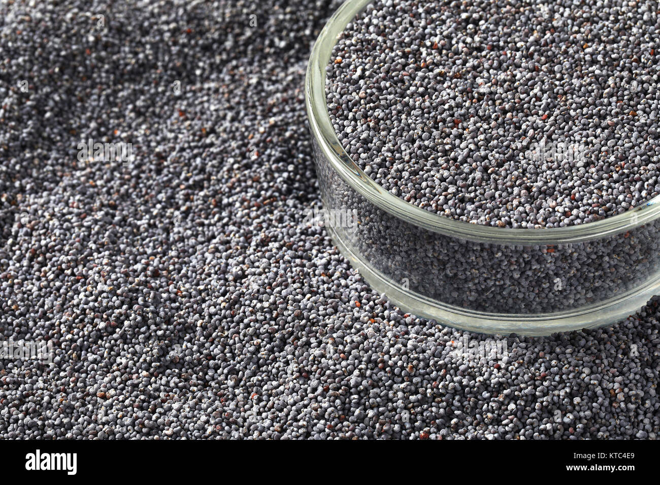 Whole black poppy seeds Stock Photo - Alamy