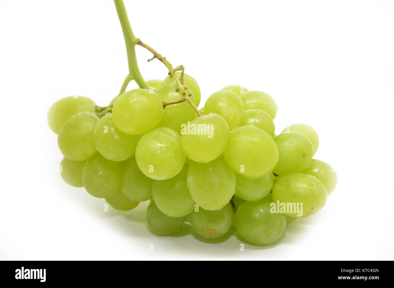 Fresh green grapes Stock Photo - Alamy