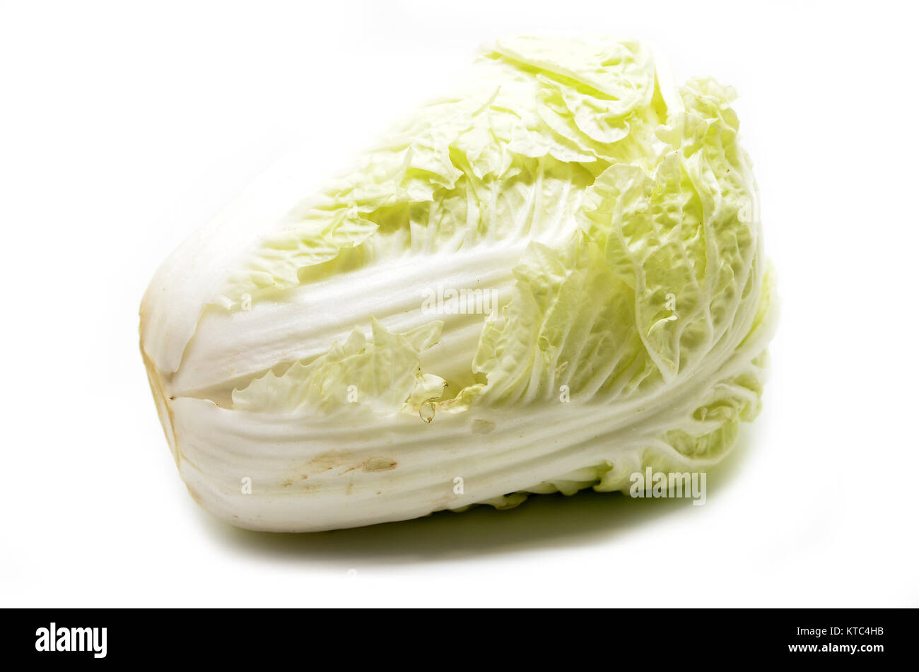 Nappa cabbage isolated Stock Photo - Alamy