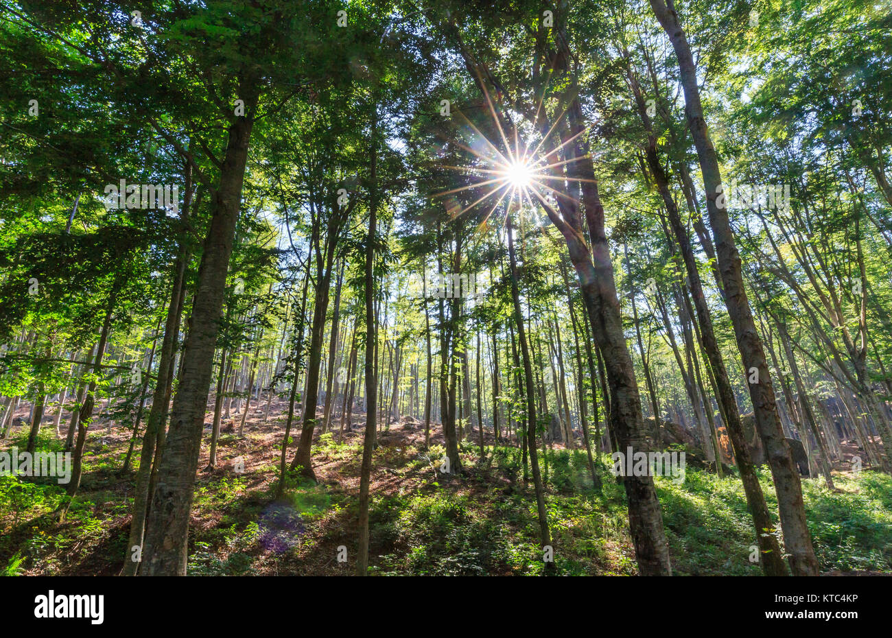 Tuscany monte amiata hi-res stock photography and images - Alamy