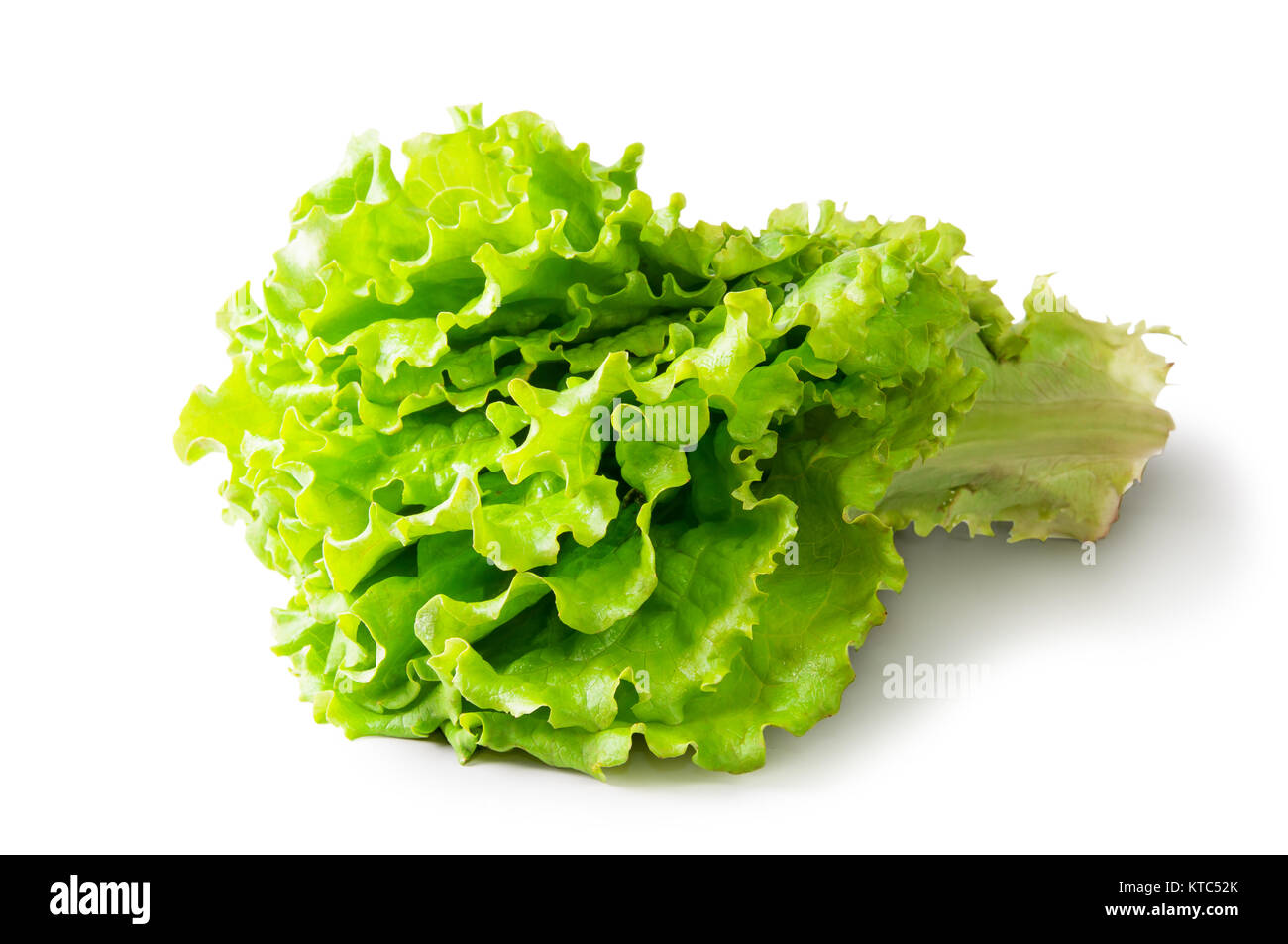 Fresh Green Lettuce Stock Photo - Alamy