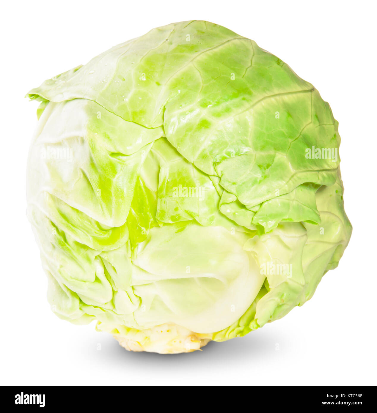 Stock market green round Cut Out Stock Images & Pictures - Alamy