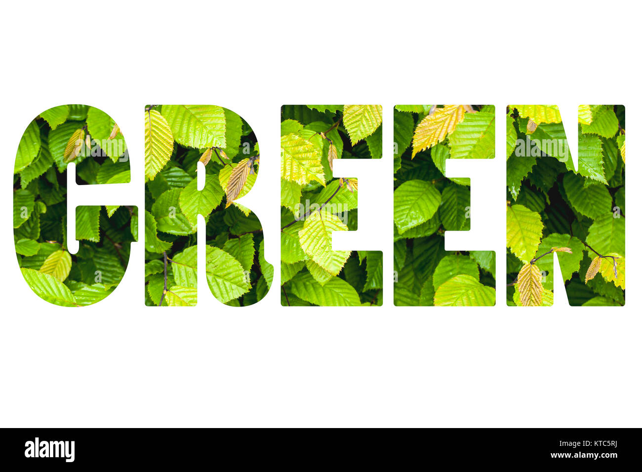 green leaf word Stock Photo - Alamy
