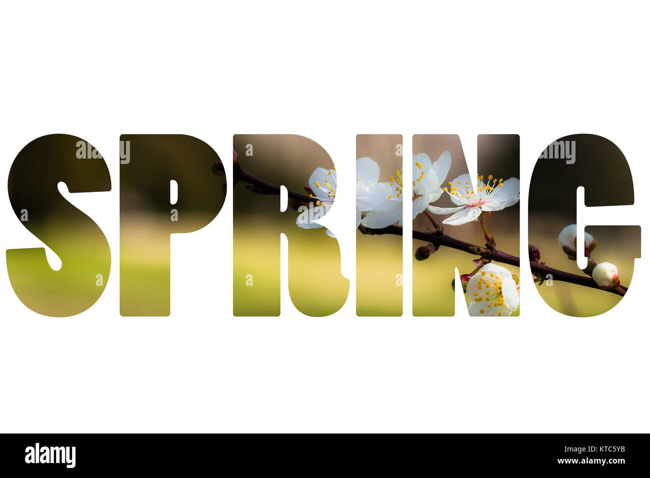 Word SPRING over cherry blossom Stock Photo - Alamy