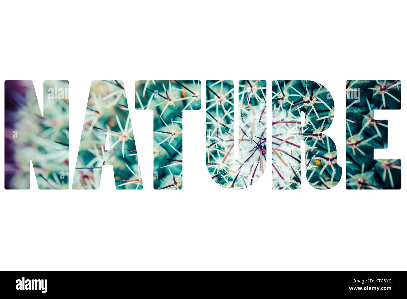 Word NATURE over cactus plant Stock Photo - Alamy