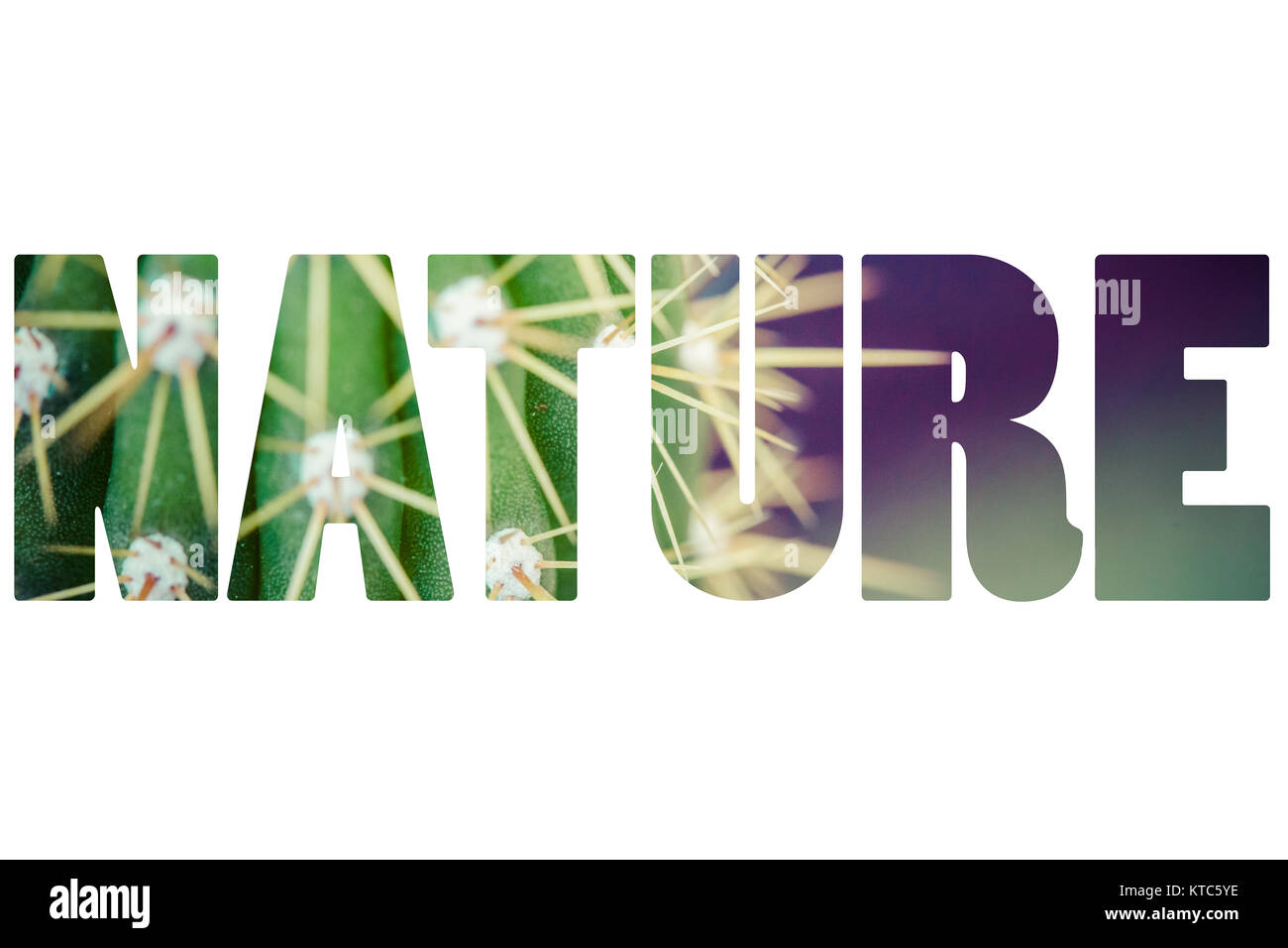 Word NATURE over cactus plant Stock Photo - Alamy