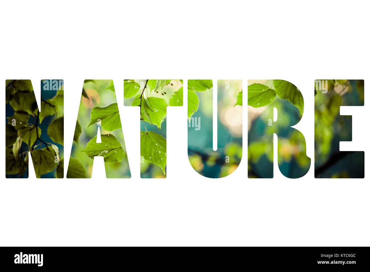 Word NATURE maple leaf on leaves background Stock Photo - Alamy