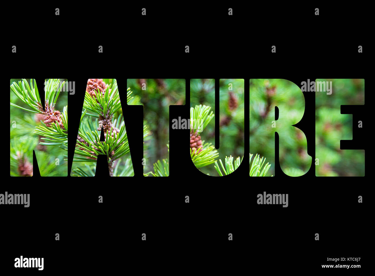 Word NATURE over pine tree Stock Photo - Alamy