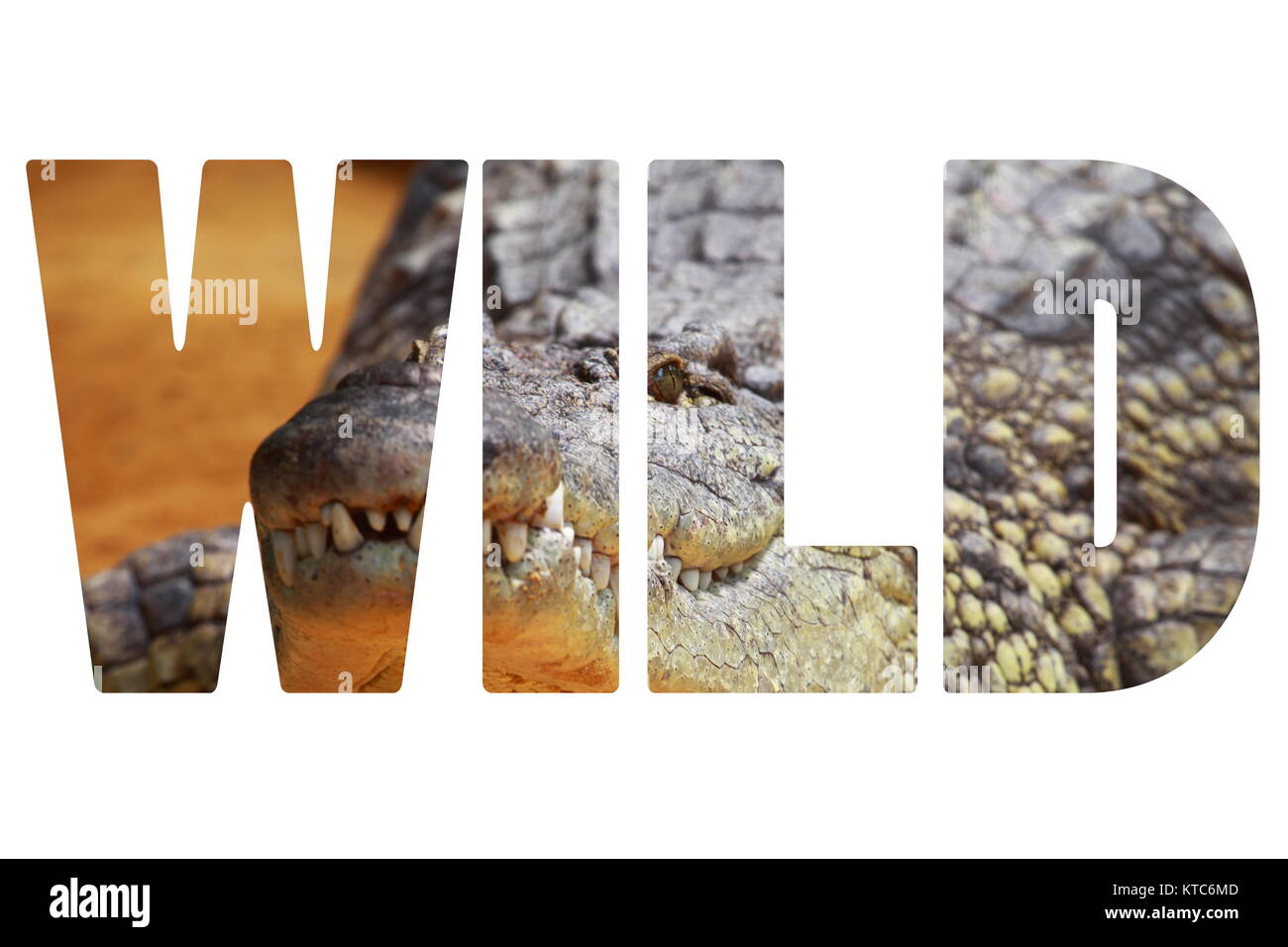 Word WILD over crocodile closeup Stock Photo - Alamy