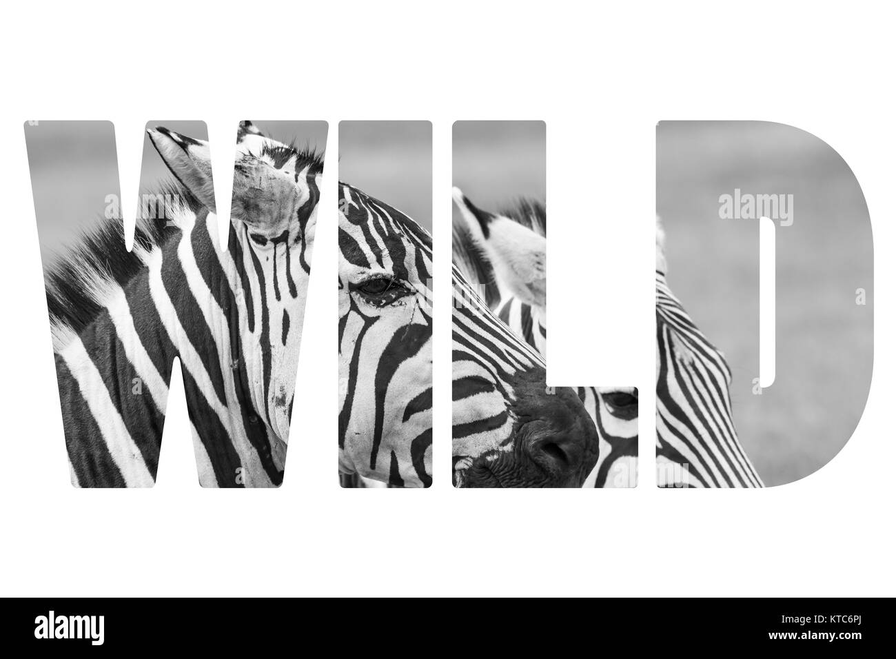 Wild animals tanzania Cut Out Stock Images & Pictures - Alamy