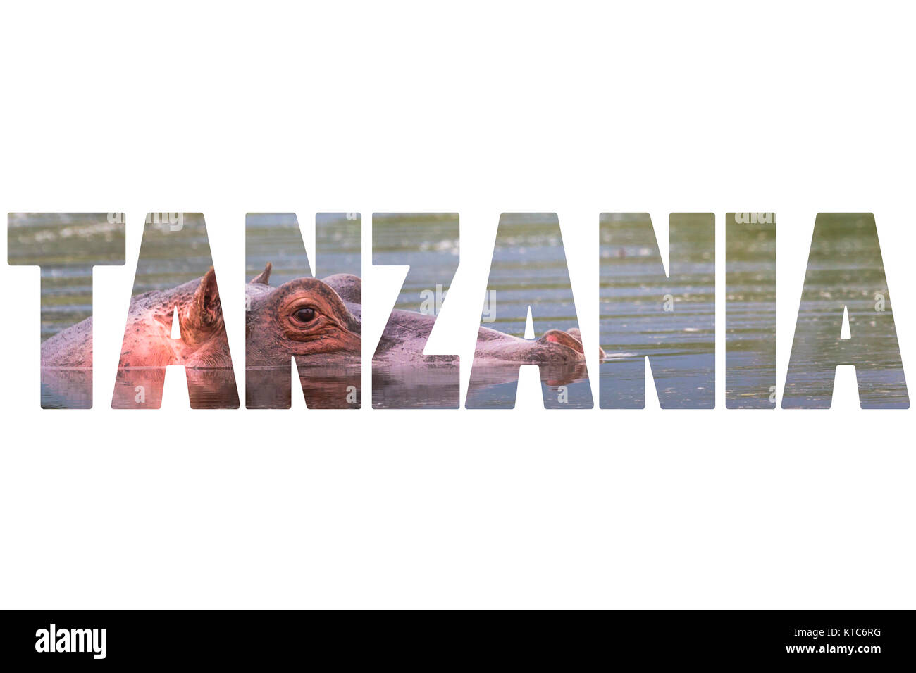 Tanzania wild animals Cut Out Stock Images & Pictures - Alamy